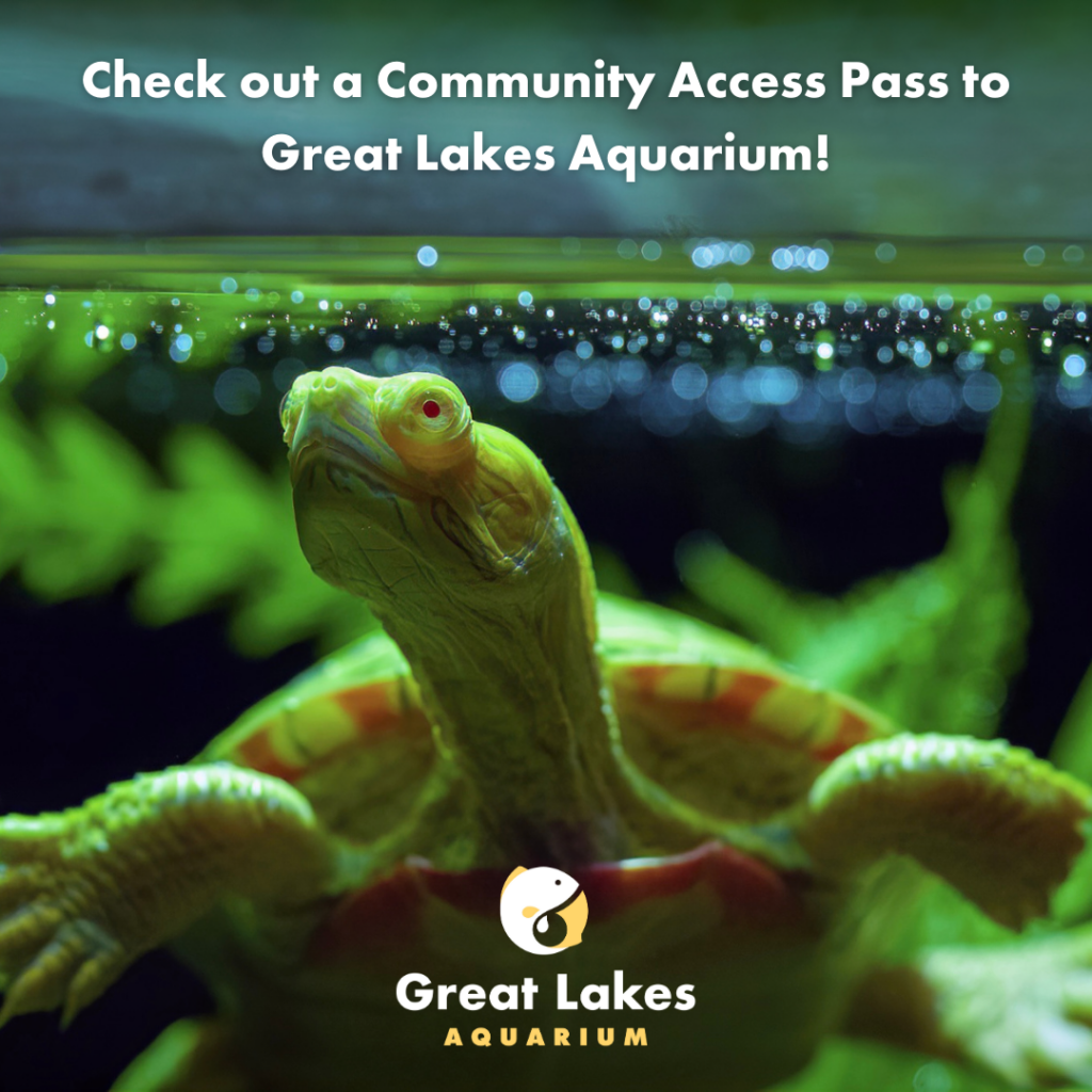 Passes